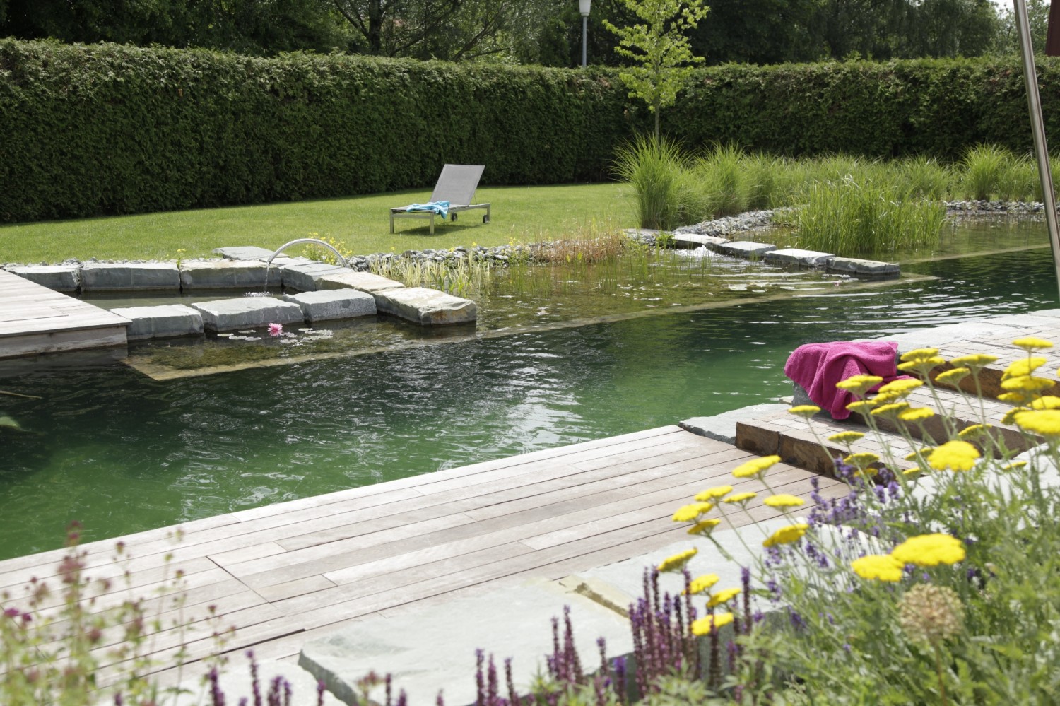 Swimming Pond & Living Pool der Marke Biotop - Lütkemeyer `Gärtner von ...